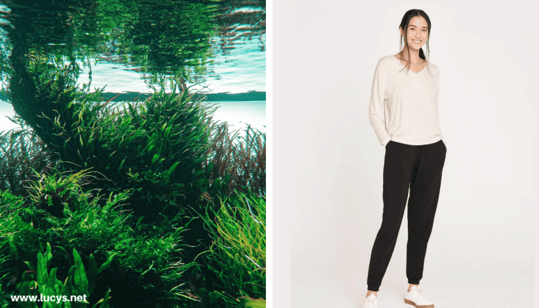 33 Weird Items Being Turned Into Stunning Fashion