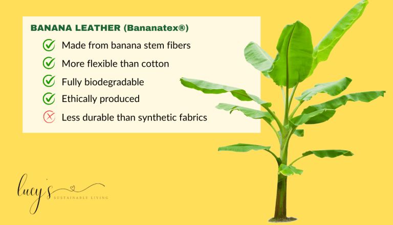 The Ultimate Guide To Eco-Friendly And Vegan Leather Alternatives