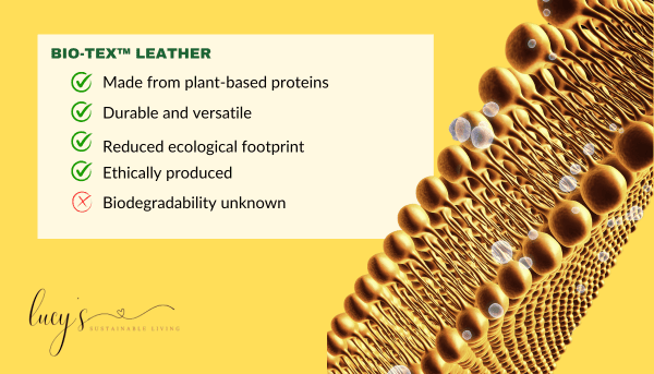 The Ultimate Guide To Eco-Friendly And Vegan Leather Alternatives