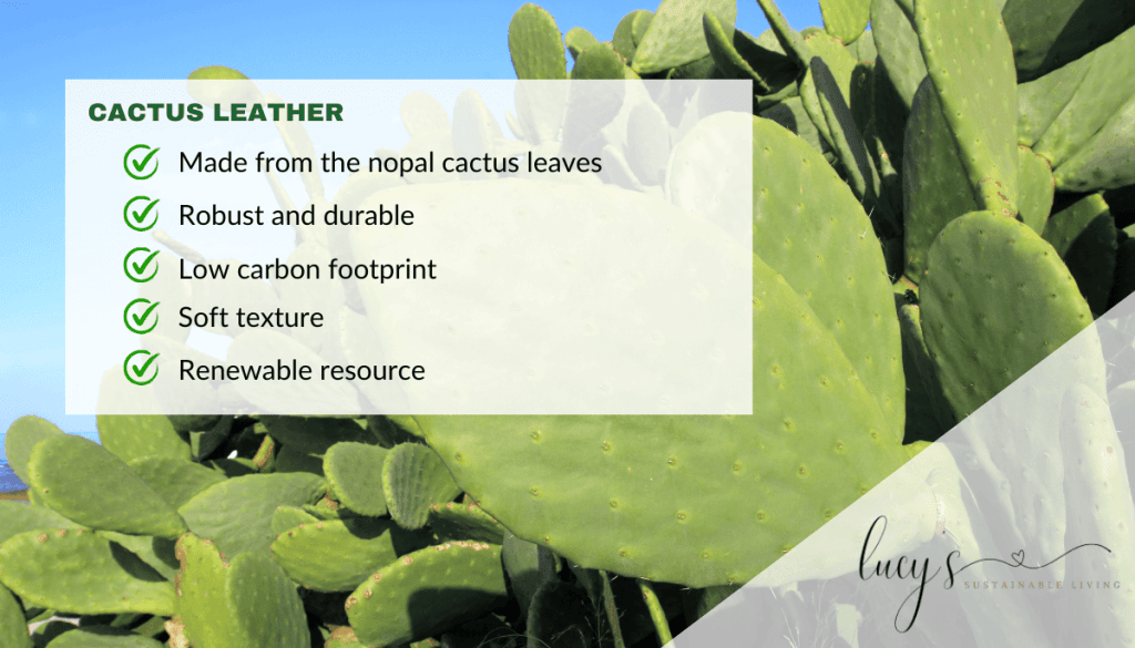 The Ultimate Guide To Eco-Friendly And Vegan Leather Alternatives