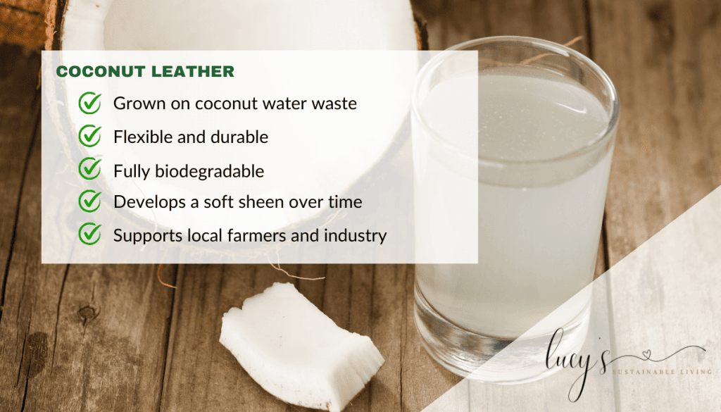 The Ultimate Guide To Eco-Friendly And Vegan Leather Alternatives