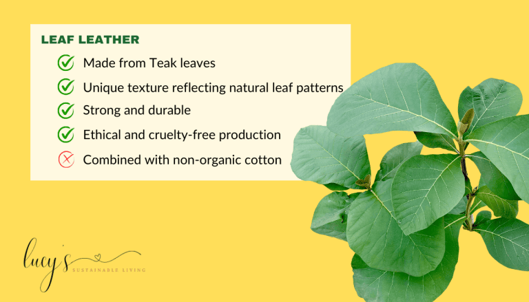 The Ultimate Guide To Eco-Friendly And Vegan Leather Alternatives