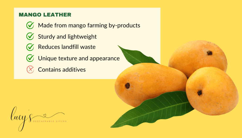 The Ultimate Guide To Eco-Friendly And Vegan Leather Alternatives