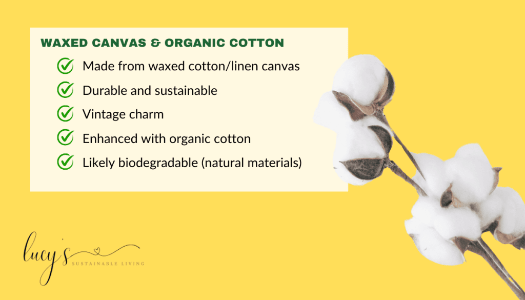 The Ultimate Guide To Eco-Friendly And Vegan Leather Alternatives